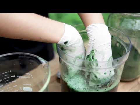 Tingimento natural: spirulina