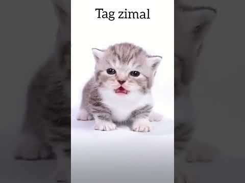 #Zimal ||comment your name #youtubeshorts