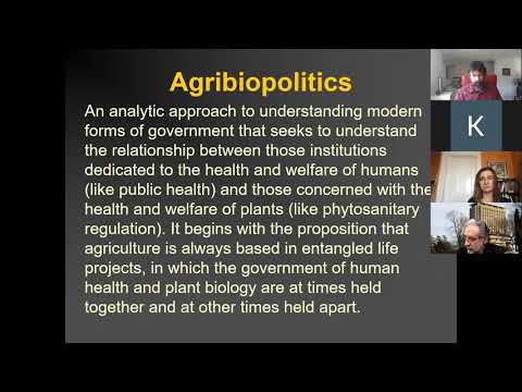 Lunchtime Lecture Series: Agribiopolitics: Plants and humans in the age of monocrops in Paraguay
