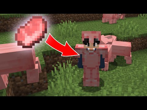 I code your horrible minecraft mod ideas