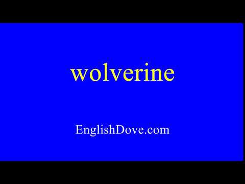 How to pronounce wolverine in American English.