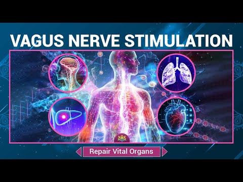 Vagus Nerve stimulation Music - Repair Vital Organs - Restore Nervous System - 174 Hz
