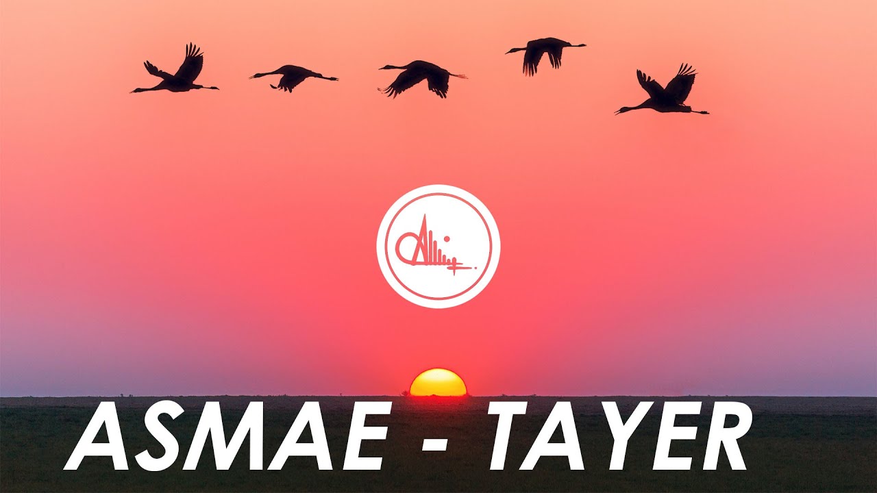 ASMAE - TAYER (LYRICS)