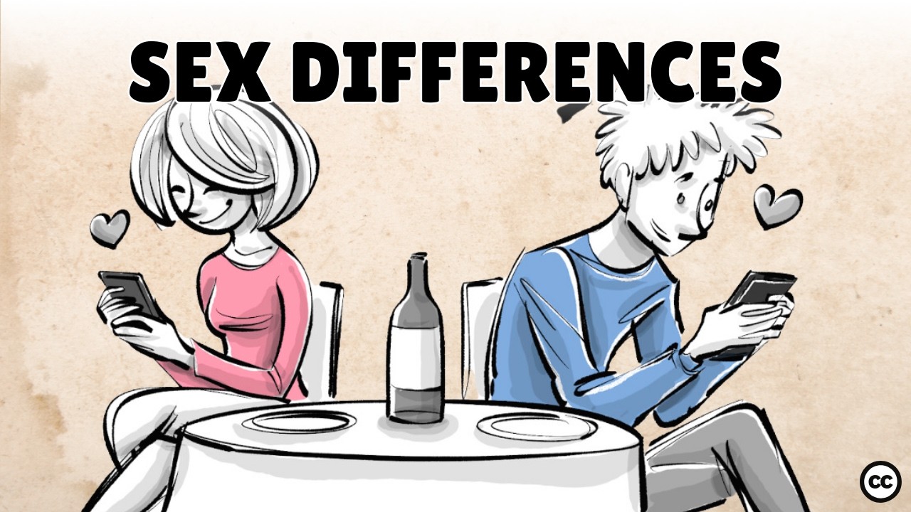 Understanding Sex Differences Cognition Education And Biology Galaxy Ai