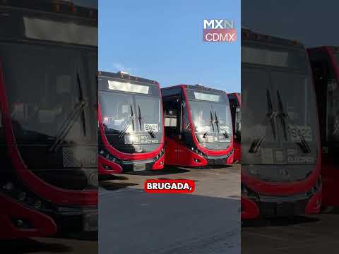 CDMX Anuncia Nuevas Líneas del Metrobús y Ampliación de la Línea 7