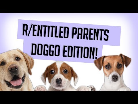 r/Entitledparents - DOGGO EDITION! - Best Reddit Stories of All Time
