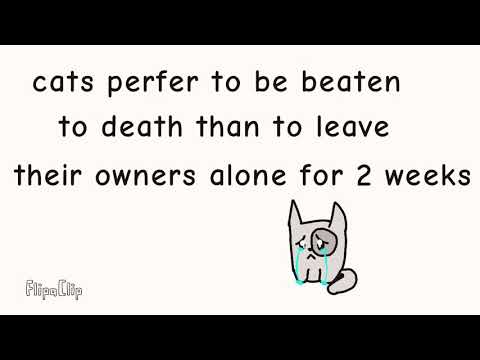 Sad animal facts