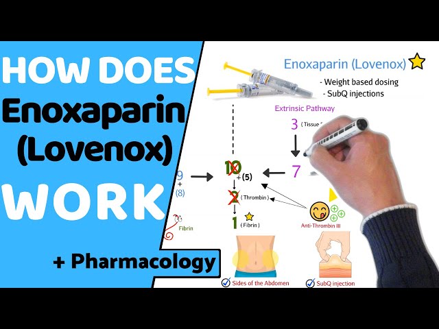Enoxaparin Sodium Injection - Lmwx 40 Injection Trader - Wholesaler ...