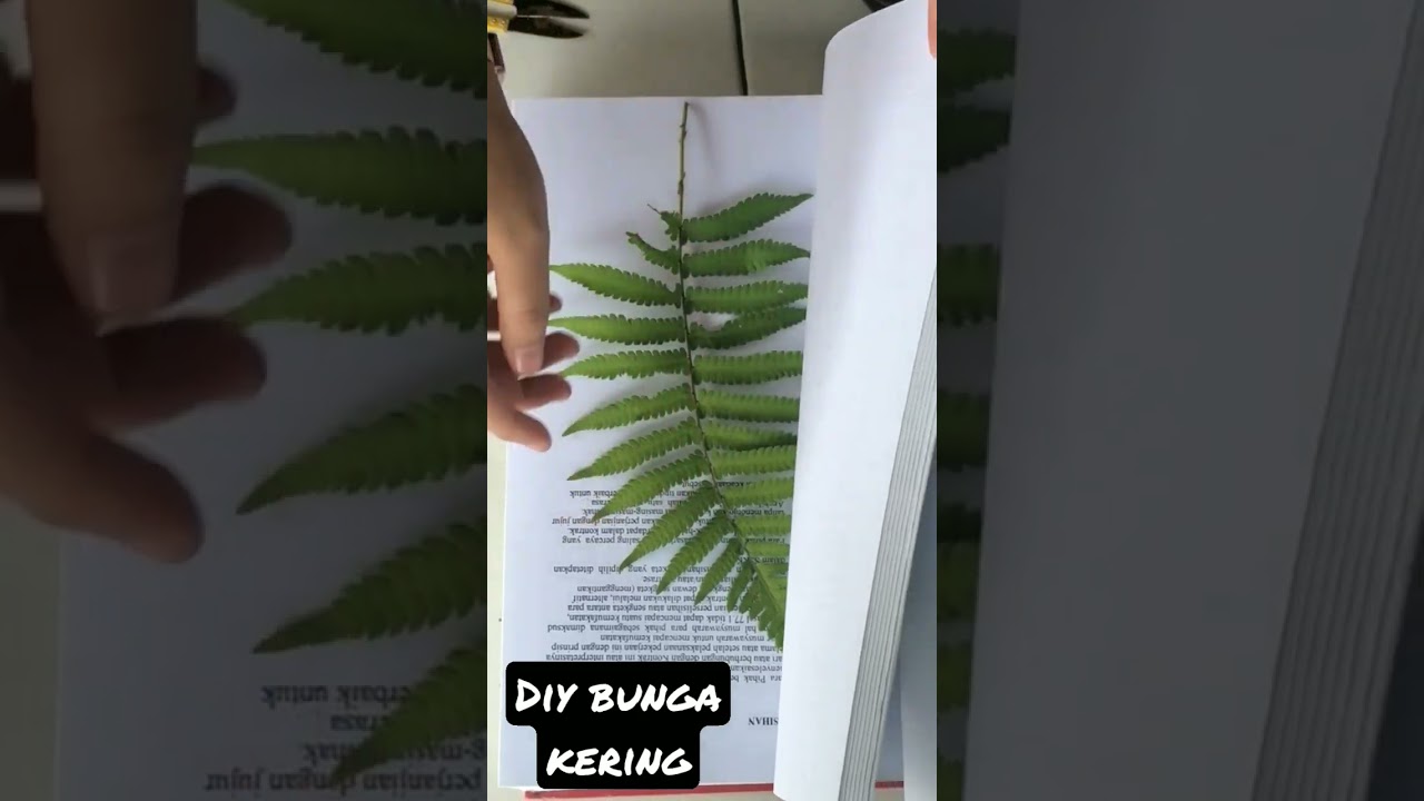 Tutorial bikin bunga kering