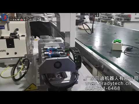 BRADY - SC-200II D
