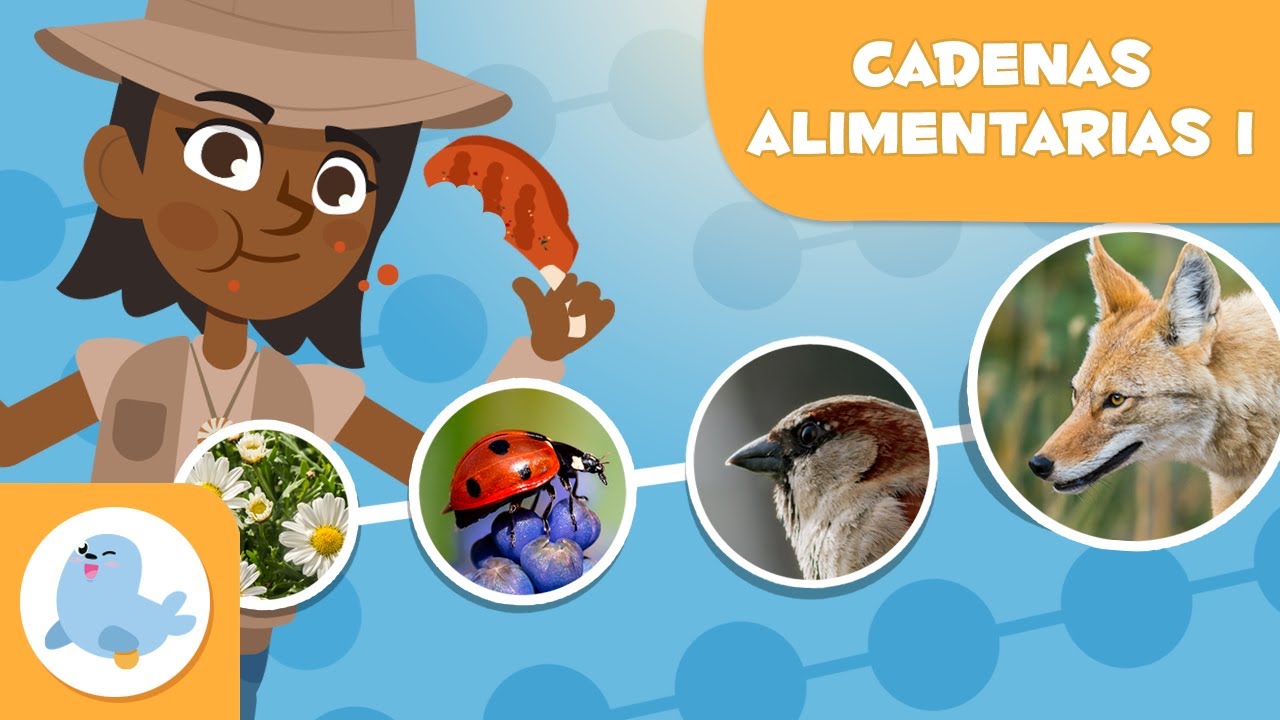 CADENAS ALIMENTARIAS para niños 🌱⬅🐝⬅🐦⬅🐺 Niveles tróficos 🌼 Episodio 1