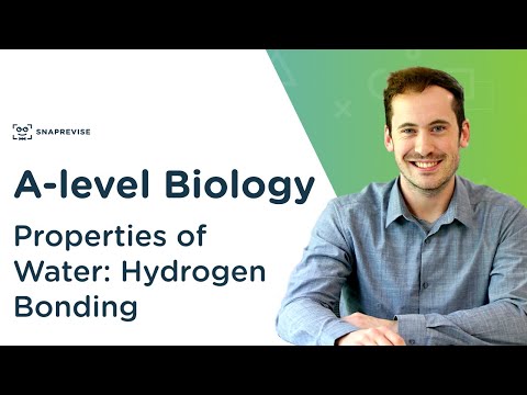 Properties of Water: Hydrogen Bonding Video Lecture - Biology A-Level ...