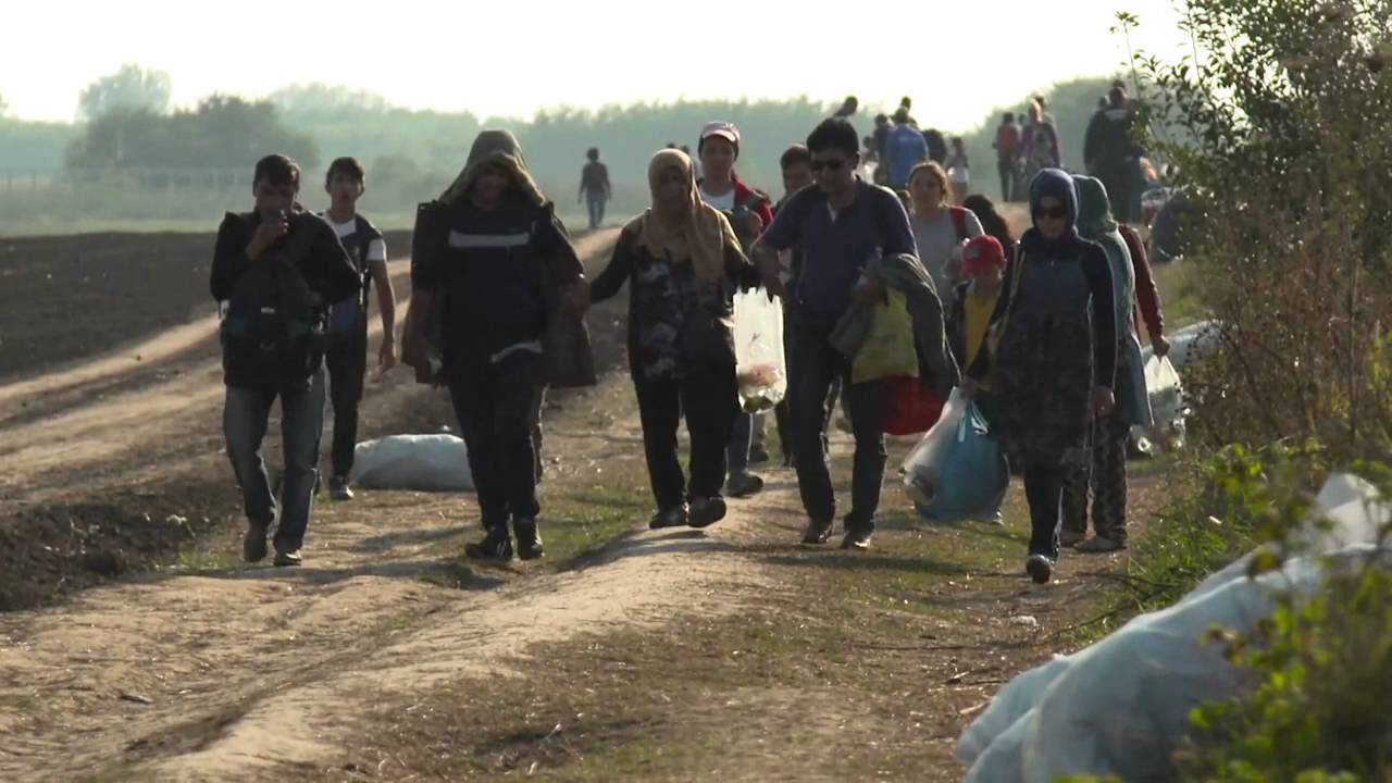 UNHCR refugees walking