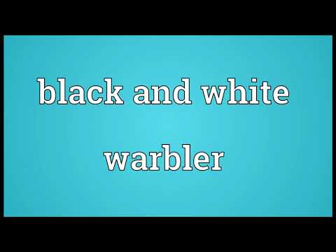 Black and white warbler Meaning