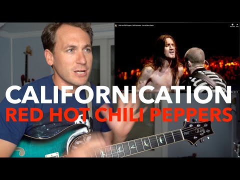 Michael Palmisano Wiki