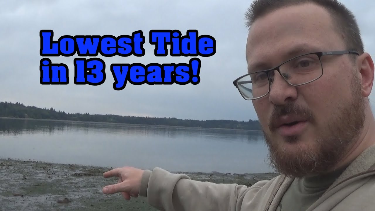 Finding and Identifying Geoduck
