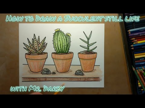 How to Draw a Succulent Still Life!