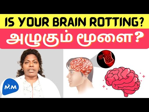Brain Rot Explained: How It Affects Your Mind! | மூளை அழுகல் | PH - Ep 9 | Tamil | Master Mano |V584