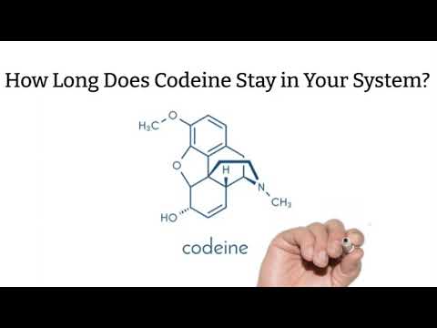 How Long Does Codeine Stay In Your System?