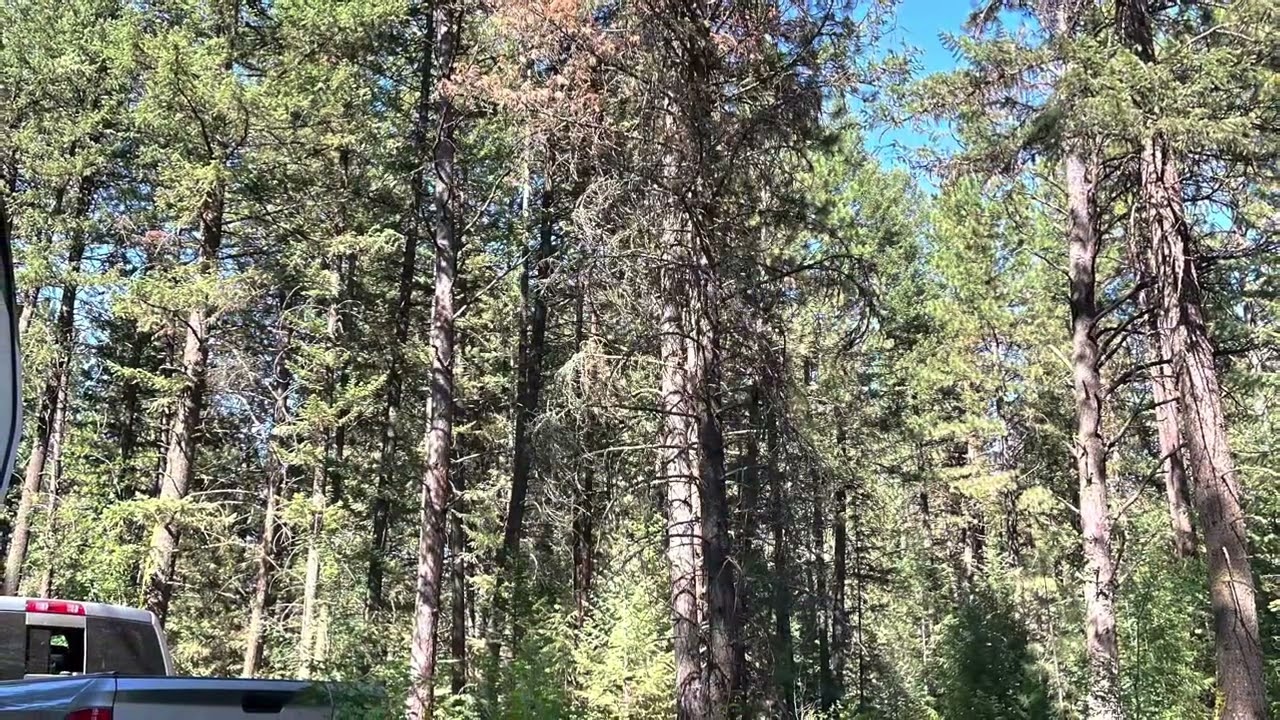 @TheRealVinnyB in Winchester Lake State Park, Idaho