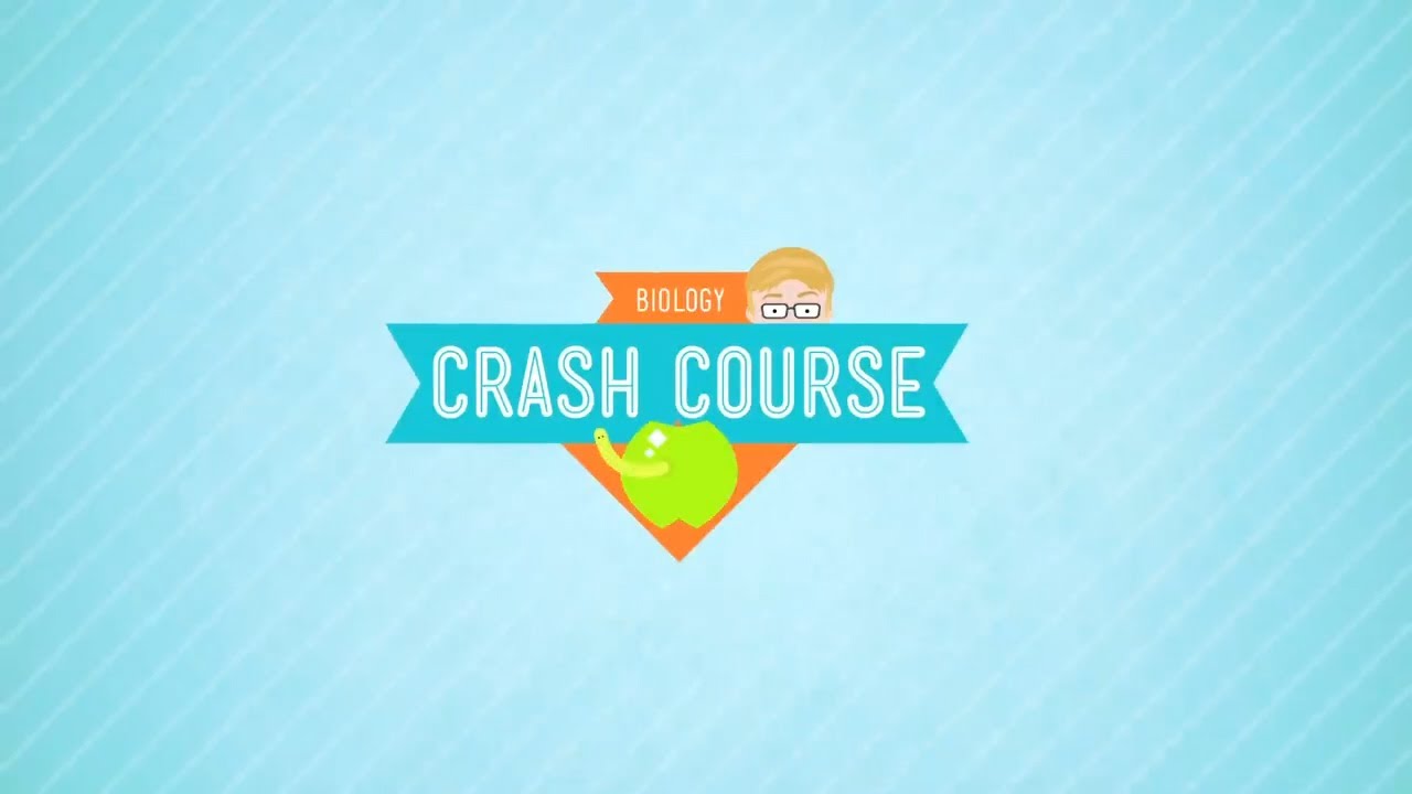 Crash Course: Biology - Documentarytube.com
