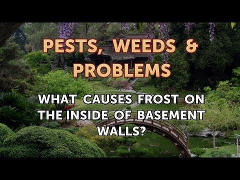 What Causes Frost on the Inside of Basement Walls?