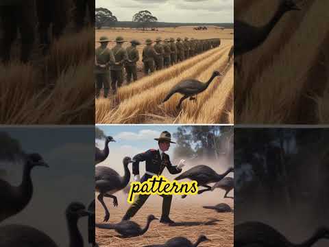 The Great Emu War: When Australia Lost a Battle to 20,000 birds