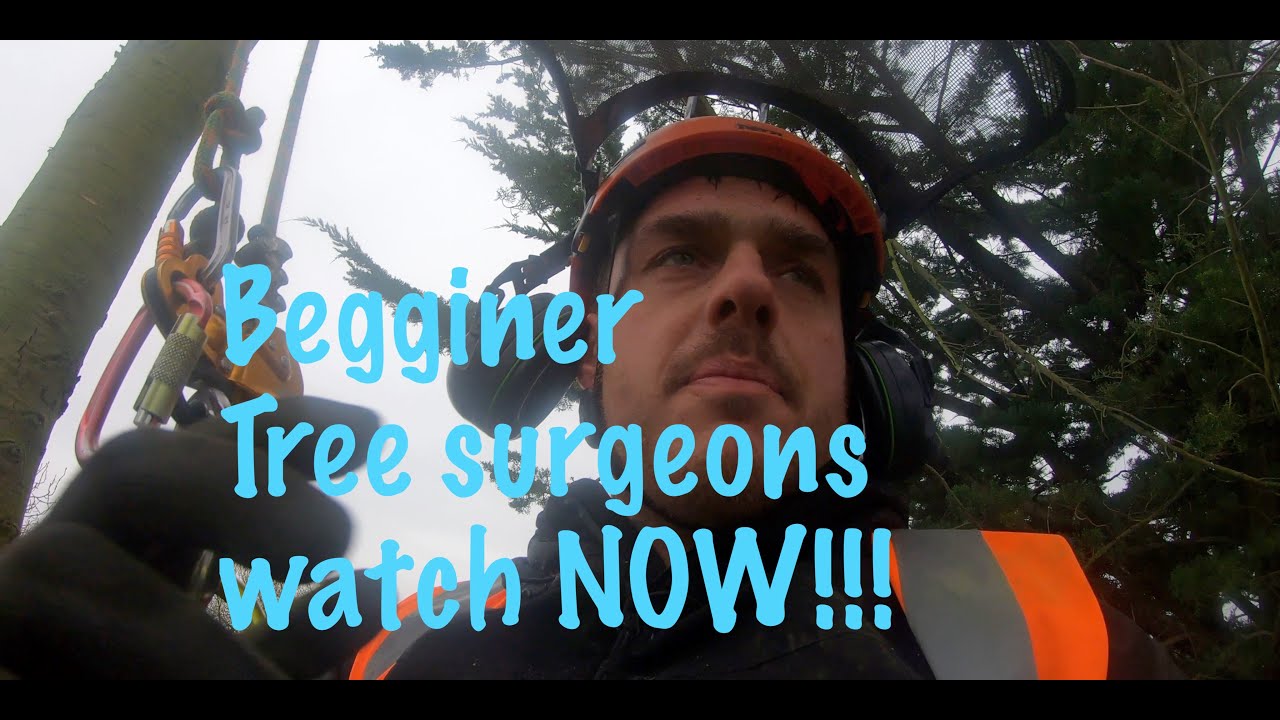BEGINNER TREE SURGEONS WATCH THIS NOW!!!!