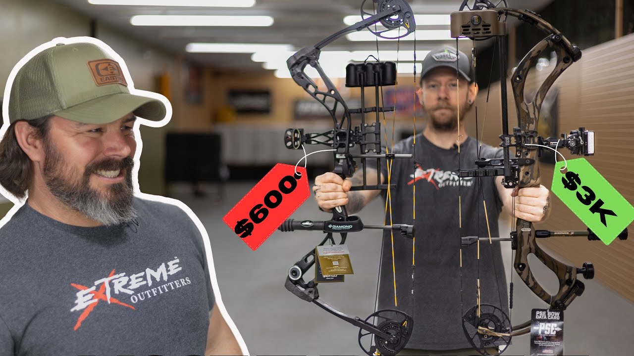 Cheap vs Expensive Bow | Hunting Bow Comparison | THIS vs THAT