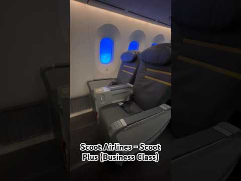Scoot Airlines - Scoot Plus (Business Class) #flight #scoot #singapore #businessclass #aviation