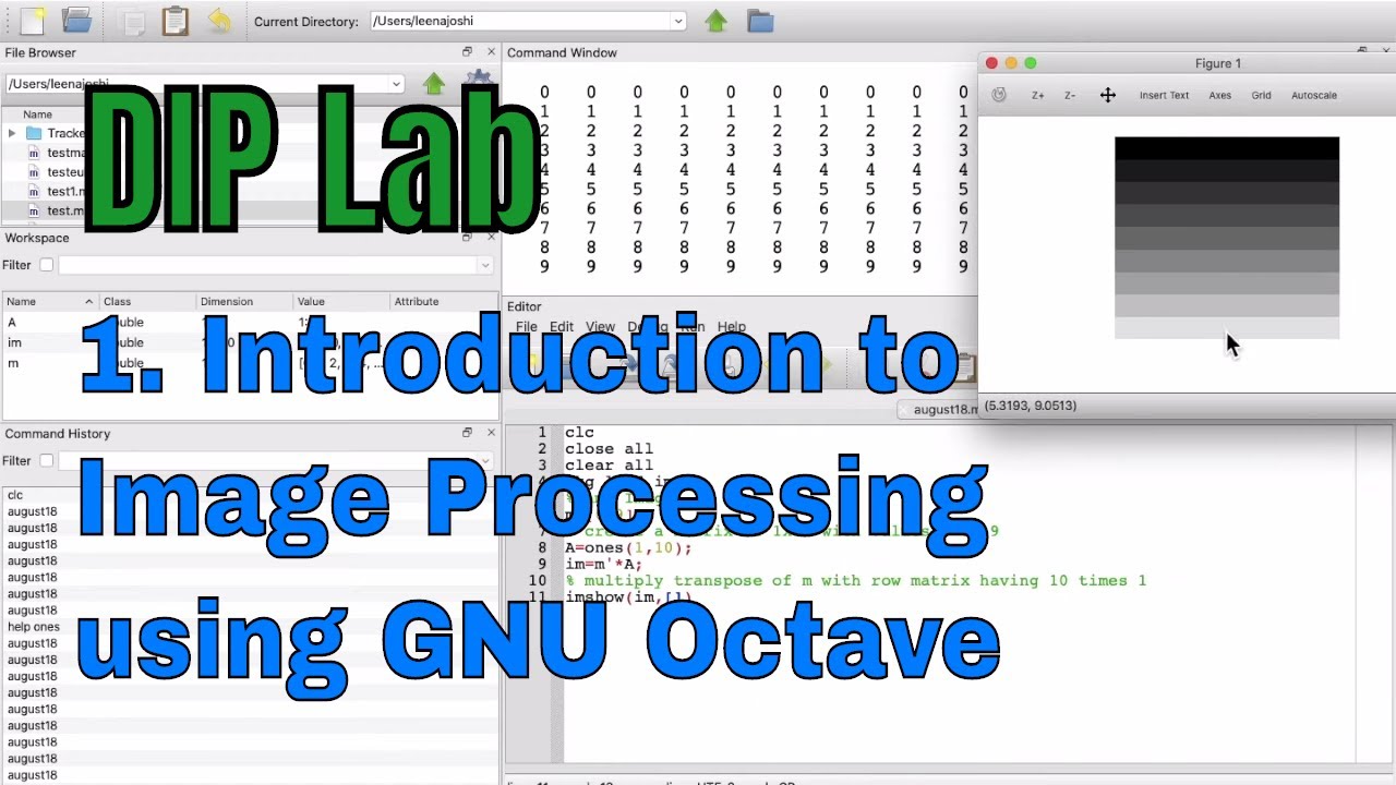 1. Introduction to image processing using GNU Octave | leanrdiyphysics| (2020)