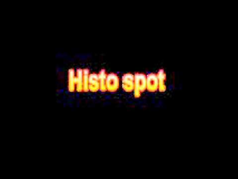What Is The Definition Of Histo spot - Medical Dictionary Free Online Terms