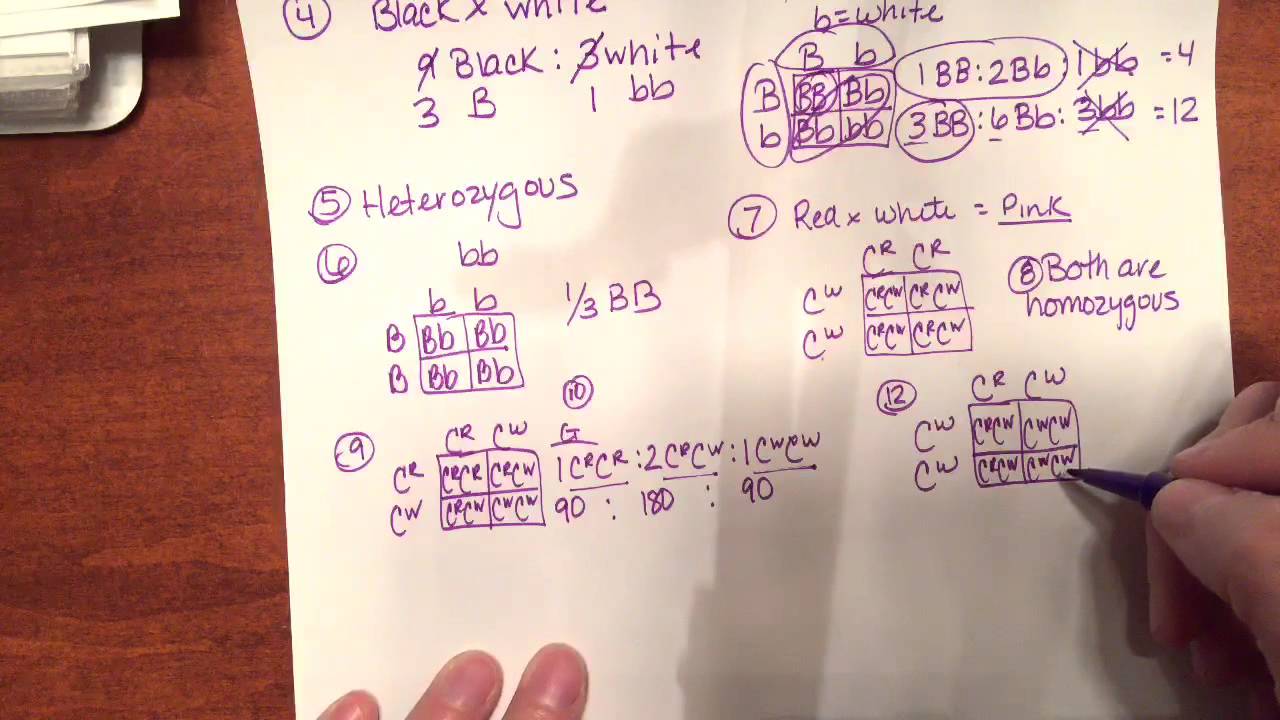 AP Genetic Prob Set 1 Answers