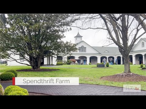 Visiting Horse Country Tours: Spendthrift Farm