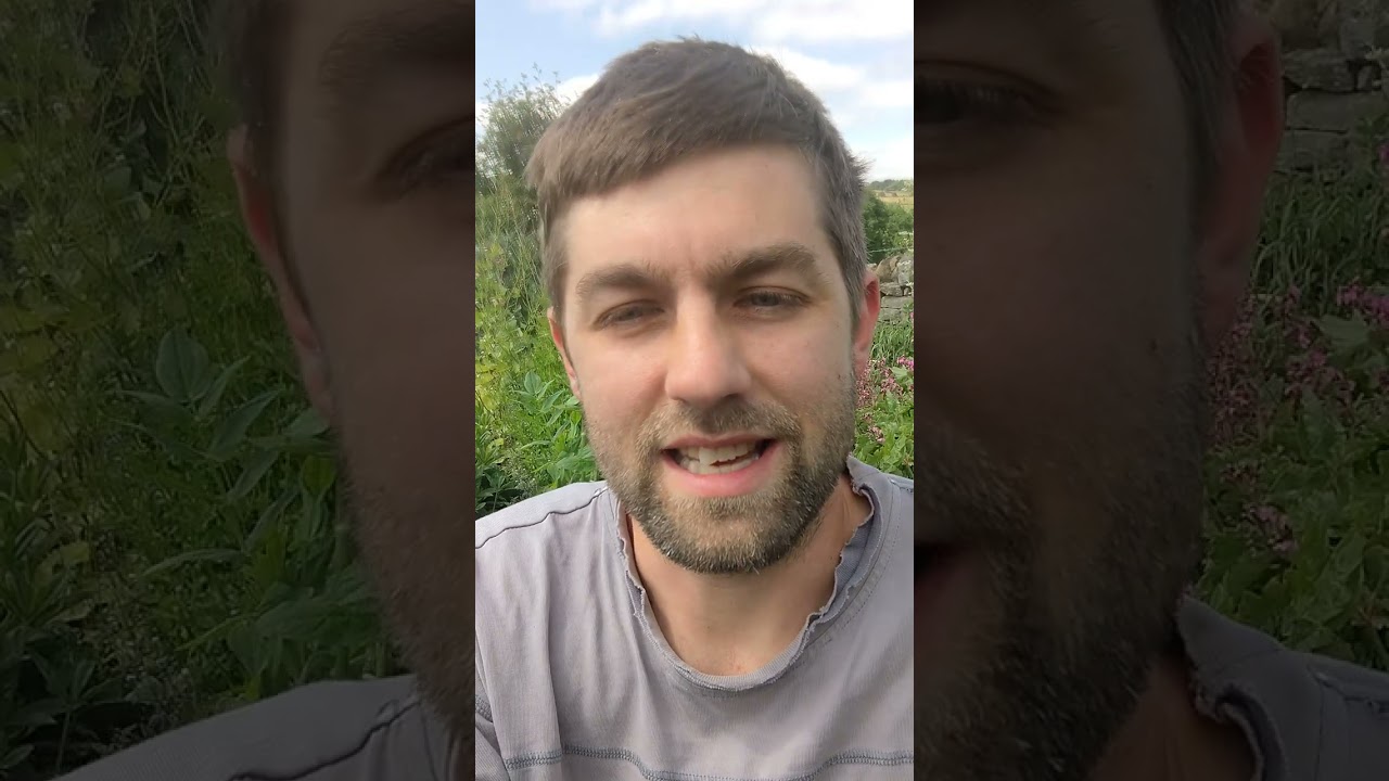 Learn with Earthed Up! this summer