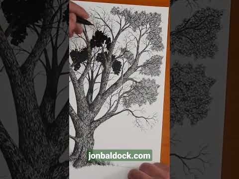 Drawing Tree Leaves simply for the beginner
