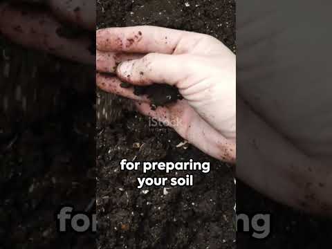 Moon Gardening: Waning Gibbous In Aires #moon #gardeningtips #gardening