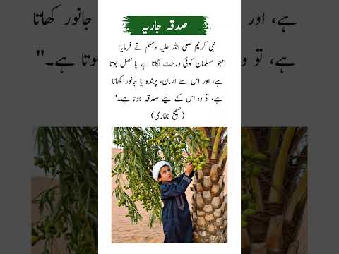 Plant a Tree, Earn Ongoing Charity (Sadaqah Jariyah) #plants #tree #spring #flowers #shorts