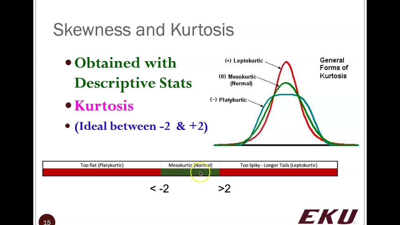 Week 2 Excel Vid 3 - Skewness and Kurtosis