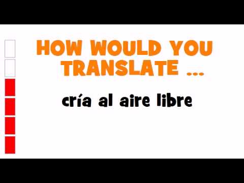 SPANISH TRANSLATION QUIZ = cría al aire libre