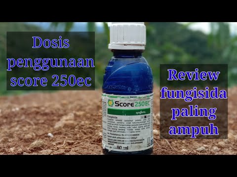 Dosis Score | review dan dosis fungisida score 250ec #FungisidaScore