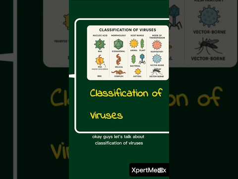 DNA vs RNA viruses in 1 minute