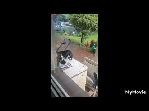 PÓŁDZIKA - Szprytka i Szprytek pani Gosi i Sławka odkryły Grzewczą Moc maty grzejnej- próba 10.09.22