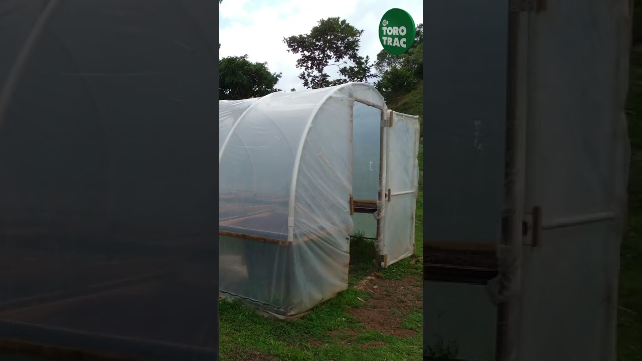 #torotrac - Secador Solar de Cafe