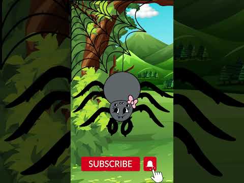S is for Spider🕷️| Beginning Sound | 🔤English Alphabet | Preschool | KidLitLearning