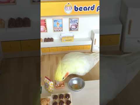Beard Papa's Opens in Birdland! Cute and funny!