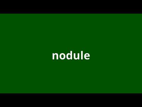 what is the meaning of nodule