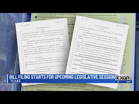 Texas lawmakers file record number of bills ahead of 2025 session
