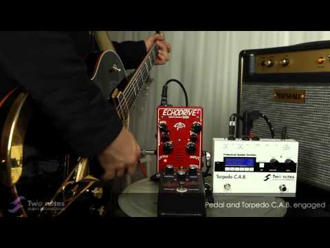 SIB Electronics Blue Echodrive Pedal - Artists Using It | Equipboard