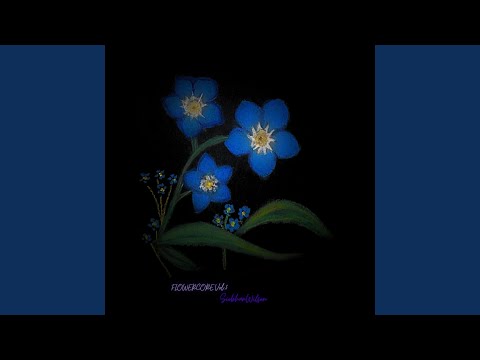 Forget-Me-Not